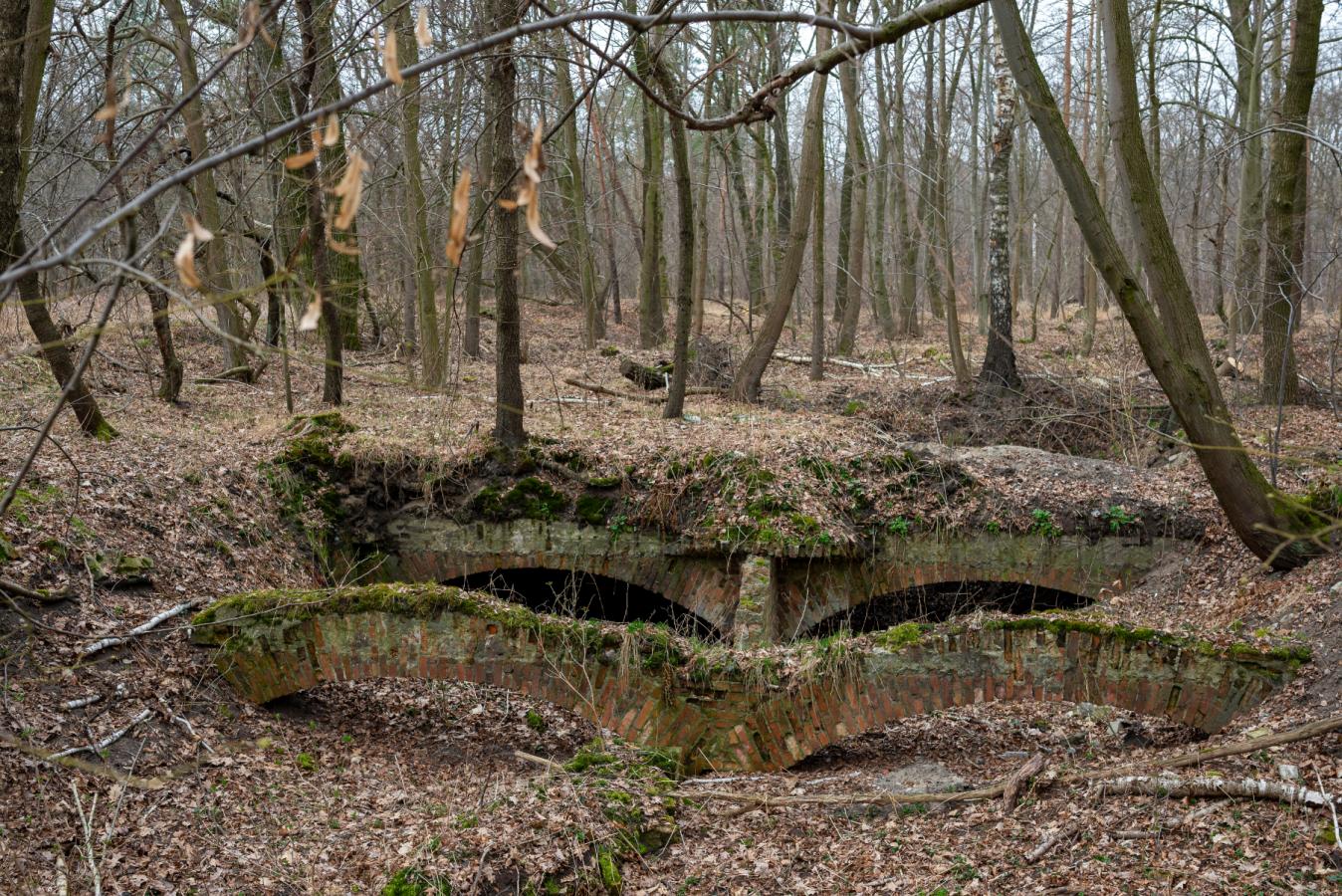 Historia Kędzierzyna-Koźla: Od legendy po wojenne tajemnice