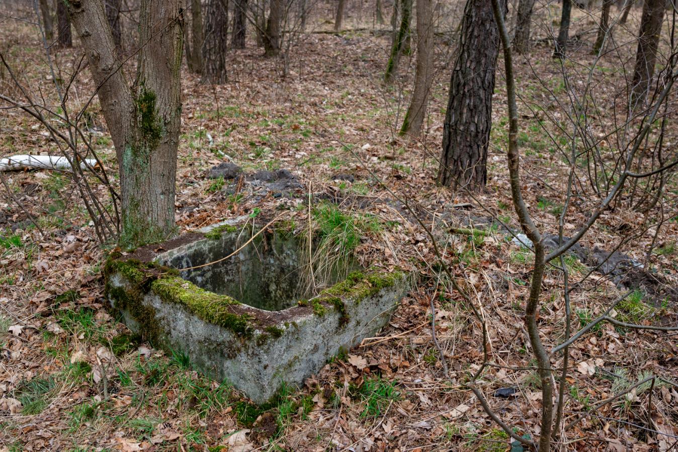 Historia Kędzierzyna-Koźla: Od legendy po wojenne tajemnice