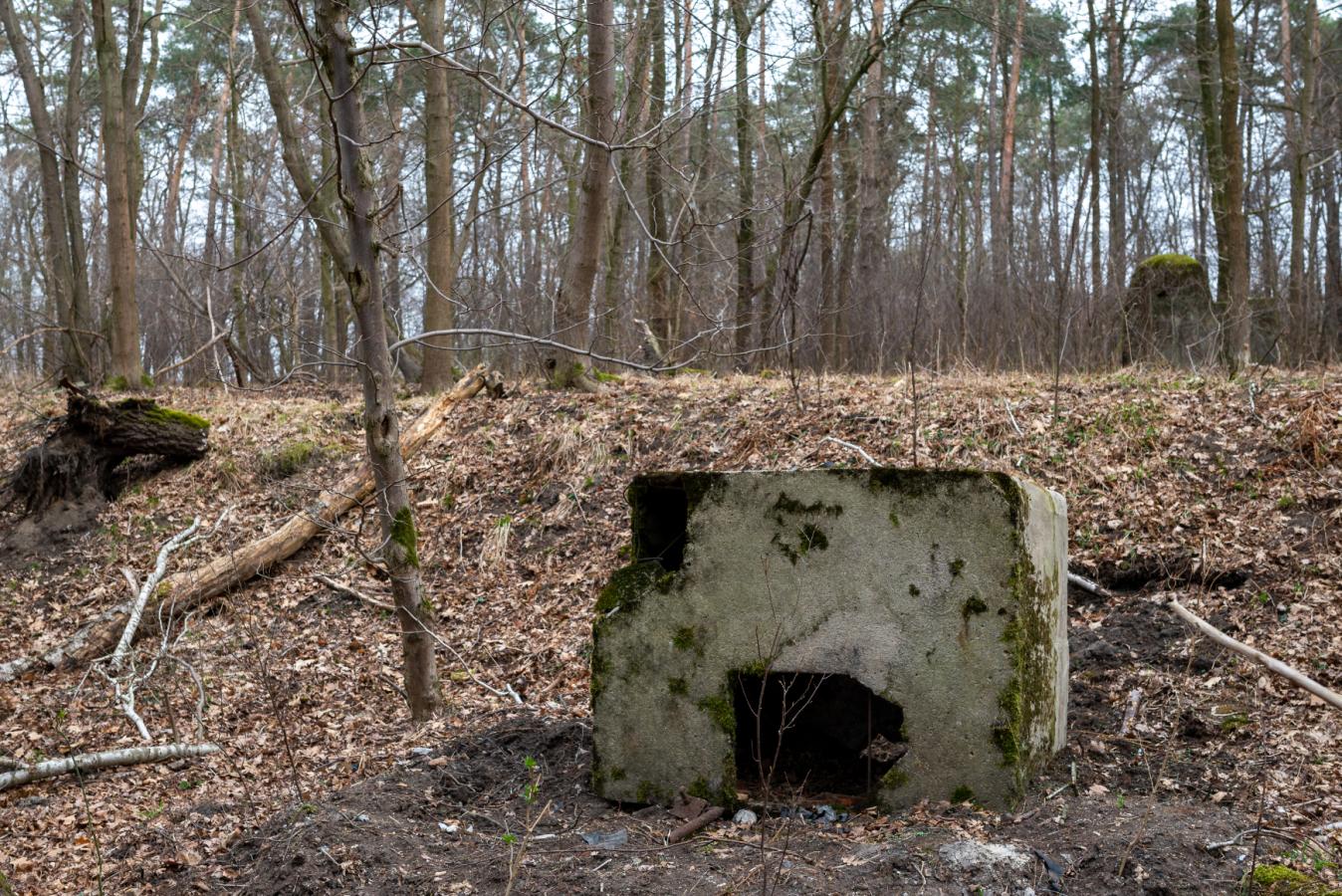 Historia Kędzierzyna-Koźla: Od legendy po wojenne tajemnice