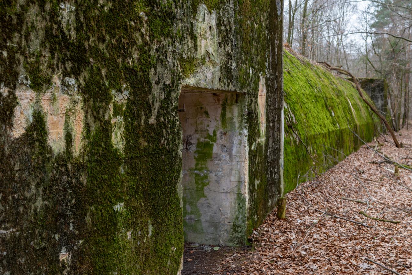 Bunkry i schrony przeciwlotnicze z czasów Drugiej Wojny Światowej w ...